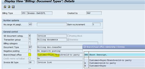 Wrong Payer Determination In Billing Doc Sap Community