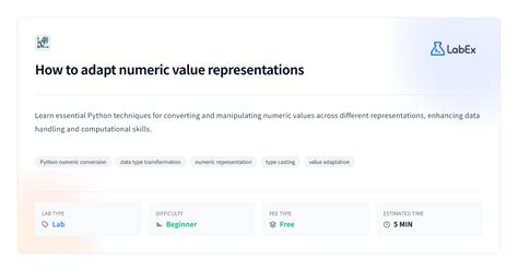 How To Adapt Numeric Value Representations Labex