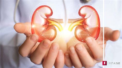 თირკმლის ქრონიკული დაავადებები პირადიექიმი Youtube