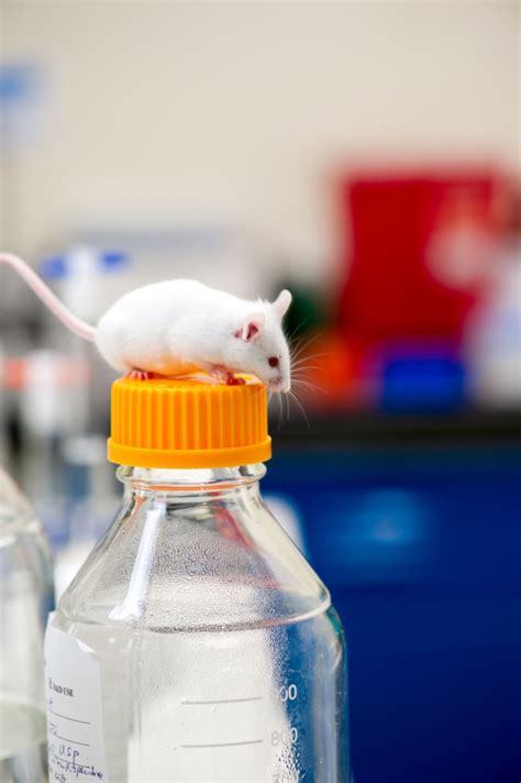 Special Interest Applications Alzet® Osmotic Pumps