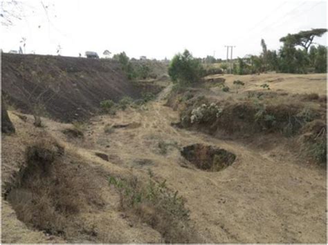 Typical Profile Of High Density Electrical Method In The Download Scientific Diagram