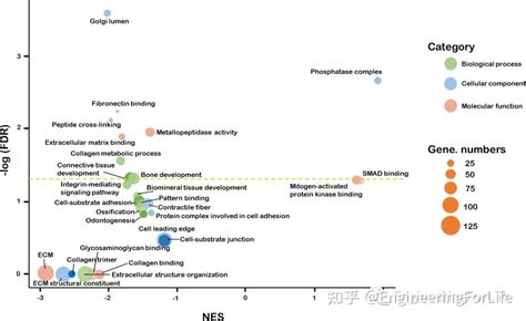 《acs Ami》：3d仿生管状纳米纤维基质引导牙周膜干细胞再生牙周膜纤维 知乎