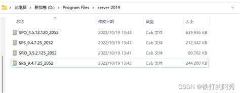 Sql Server2019 Express安装及脱机安装 Microsoft机器学习服务器组件脱机安装microsoft机器学习服务器组件