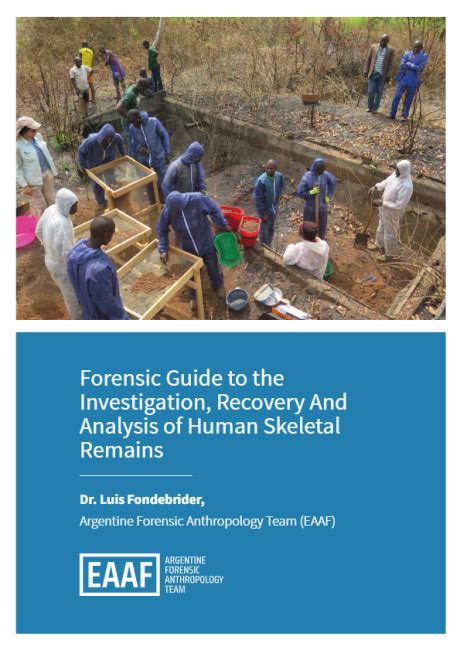Forensic Identification Of Human Remains Missing Persons Platform