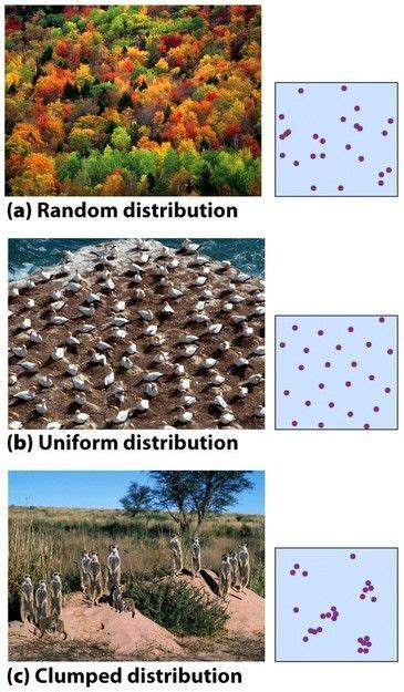 Remote Sensing And Gis For Ecologists Using Open Source Software Data