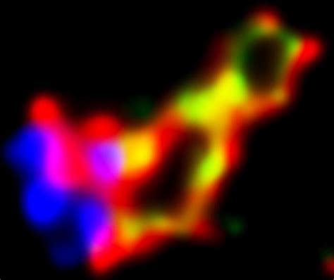 CRISPR Edits Homothorax Gene IMAGE EurekAlert Science News Releases