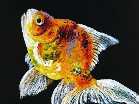Art Zcool