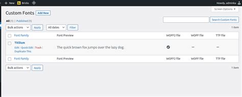 Solved Custom Fonts Are Duplicated After Adding Bugs Bricks