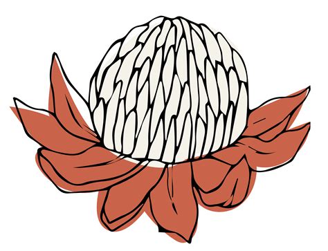 Contact Telopea Beauty Supplies