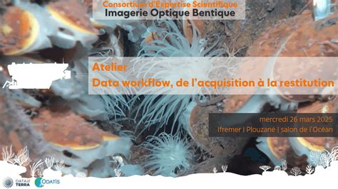 Atelier2 Data Worflow Mars 2025