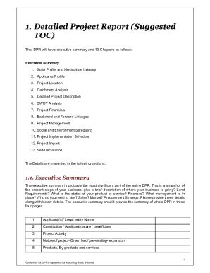 Fillable Online Executive Summary For A Project Definition And Example Fax Email Print PdfFiller