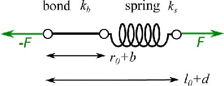 Scheme 1 Two Spring Model With The Spring Of The Bond With Spring Download Scientific Diagram