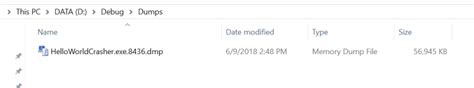 How To Capture And Debug Net Application Crash Dumps In Windows 121