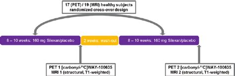 Scheme Of The Study Design Download Scientific Diagram