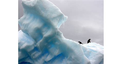 Парниковите емисии променили ветровете на Антарктида и се ускорило топенето на леда