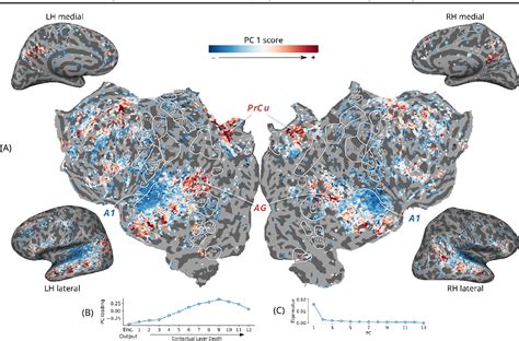 Self Supervised Models Of Audio Effectively Explain Human Cortical Responses To Speech