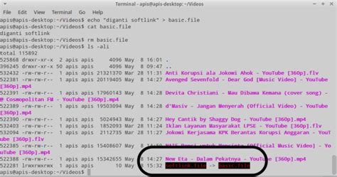 Mengenal Hardlinks Dan Softlinks Dalam Linux Kami