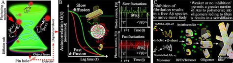 Schema Of Fluorescence Correlation Spectroscopy Fcs Measurement A Download Scientific