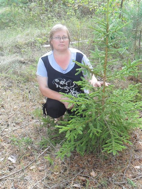 Осенние листья в осень анимация Падающие листья Осенние листья Листья