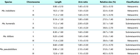 Mean Lengths And Quantitative Characterization Of Each Chromosome Of