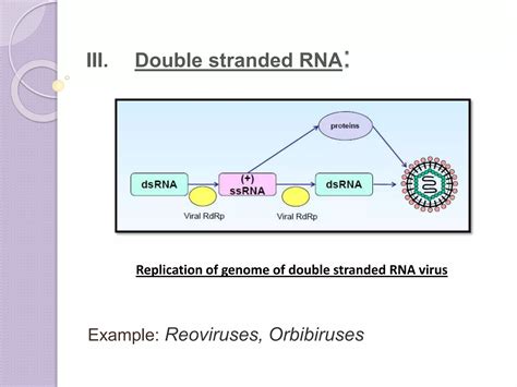 Viral Replication PPTX
