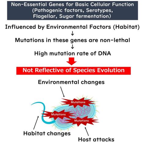 Streamlined Molecular Methods For Microbial Identification A Practical