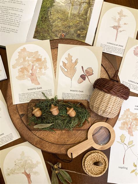 Tree Unit Study Bundle Nature Education Printable Tree Etsy