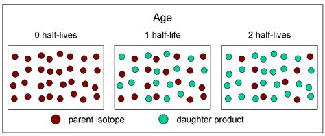 Radioactive Isotope Half Life