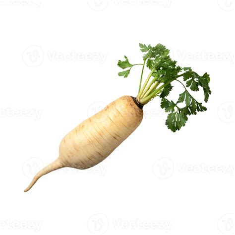 AI Generated Floating Of Parsnip Without Shadow Isolated Transparent Background PNG