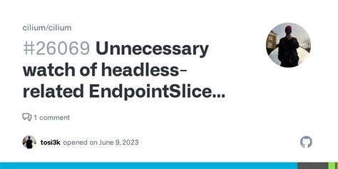 Unnecessary Watch Of Headless Related Endpointslice Objects · Issue 26069 · Ciliumcilium · Github