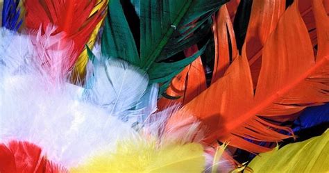 Adobe Photoshop 70 All Frames