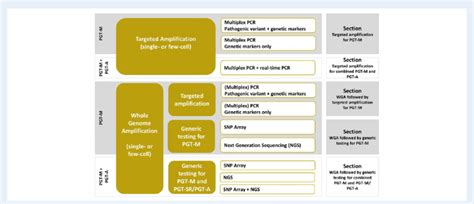 Overview Of The Testing Strategies That Can Be Applied For Pgt M