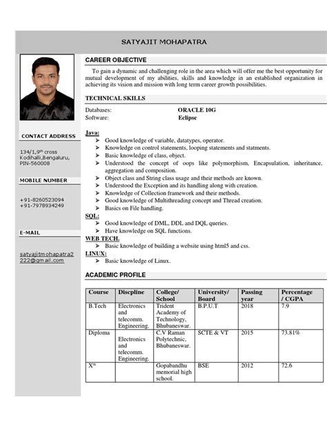 Satyajit Resume Pdf Object Computer Science Class Computer