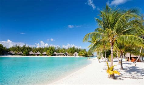 35 Inspirational Novak Djokovic Quotes On Success