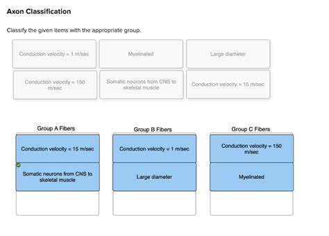 Solved Axon Classification Classify The Given Items With The