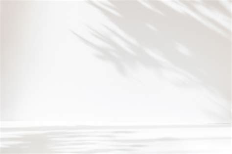 제품 프레젠테이션을 위한 추상적인 흰색 스튜디오 배경입니다 창문과 꽃과 야자수 잎의 그림자빈 방 복사 공간이있는 3d 룸 여름 콘서트 흐린 배경 0명에 대한 스톡 사진 및