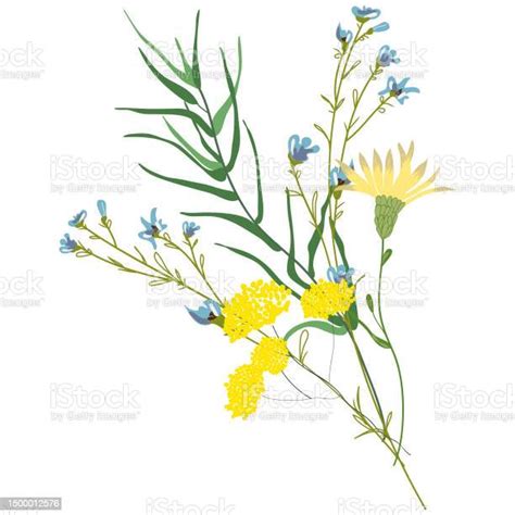 나뭇 가지에 필드 꽃입니다 야생화 아이콘입니다 투명한 배경에 격리된 손으로 그린 초원 식물 개화기에 대한 스톡 벡터 아트 및 기타 이미지 Istock