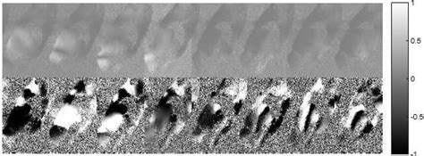 Coil Sensitivity Magnitude Top And Phase Bottom For Eight Coils In Download Scientific