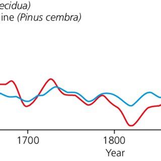 Influence Of Climate Change On Tree Growth Shown As Tree Ring Width Download Scientific