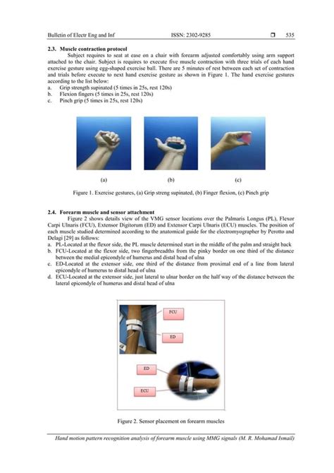 Hand Motion Pattern Recognition Analysis Of Forearm Muscle Using Mmg Signals Pdf