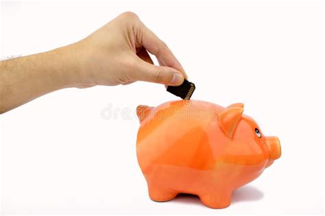 Memory Card Is A Saving Stock Image Image Of Hold Concept 102401005