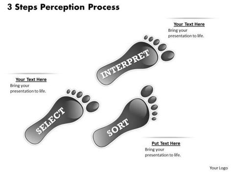 Steps Perception Process PowerPoint Presentation Template