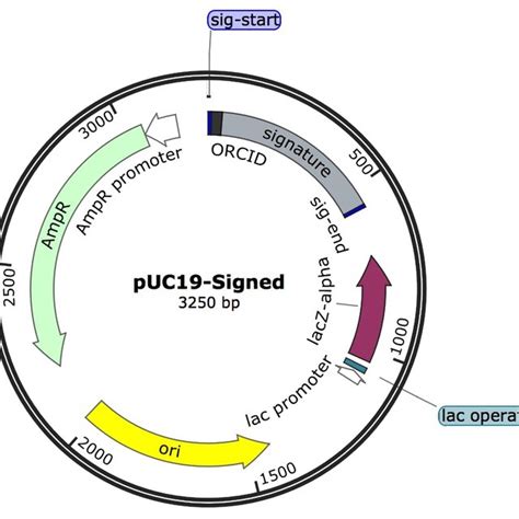 Sample Fasta Fasta File Download Scientific Diagram