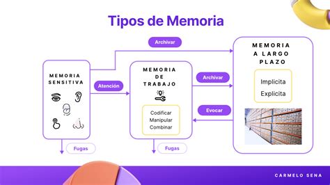 Cómo Funciona La Memoria Parte 1 Carmelo Sena