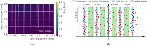 Accurate And Fast Deep Learning Dose Prediction For A Preclinical