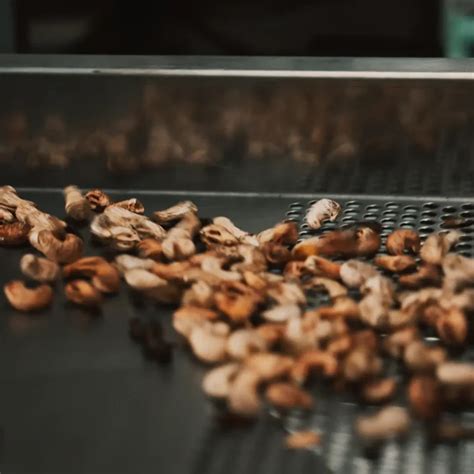 Cashew Processing Machine Types Daniel Machine