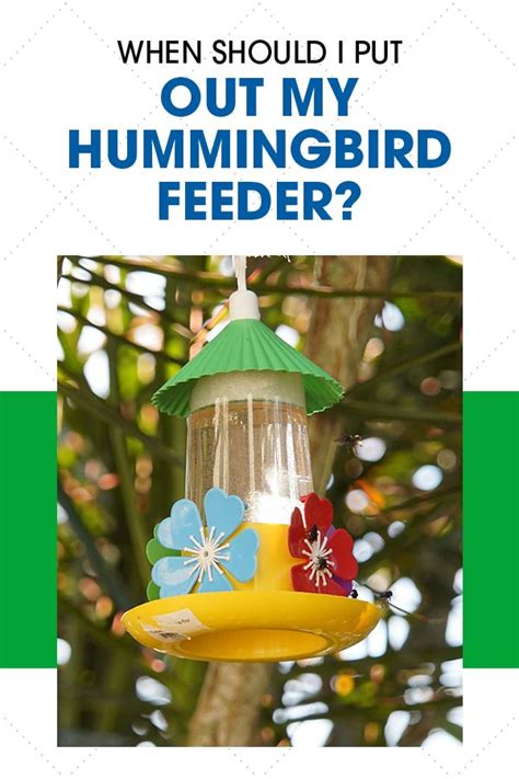 How To Feed A Hummingbird Without A Feeder Easy Diy Alternatives Artofit