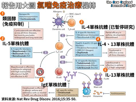 [臨床藥學] 報告用大圖：氣喘免疫治療機轉 New Therapy Of Asthma Targeted On Immunity Nejs