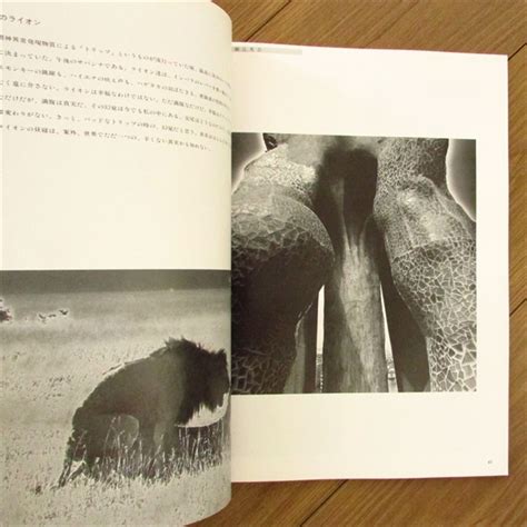 ZOOM日本版 創刊号 まつのは書林