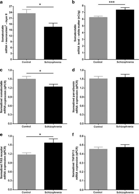 Orbital Frontal Cortex Ofc Layer Ii Somatostatin Sst Mrna Neuron